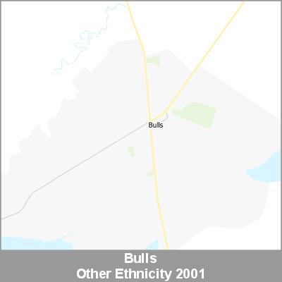 2001 Other Ethnicity Bulls - Digital Maps