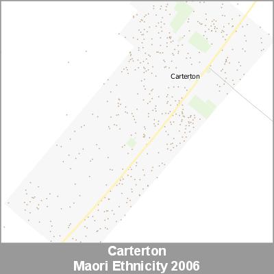 2020 Tron Map Carterton - Digital Maps