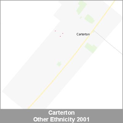 2020 Tron Map Carterton - Digital Maps