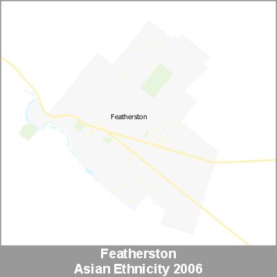 2006 Asian Ethnicity Featherston - Digital Maps