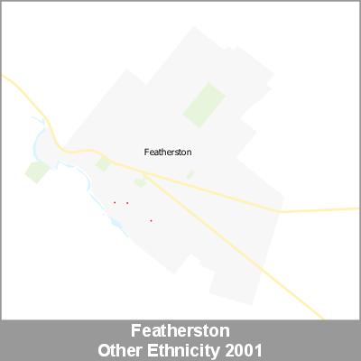 2017 Crashes Featherston - Digital Maps