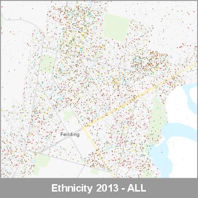 2013 All Ethnicity Feilding - Digital Maps
