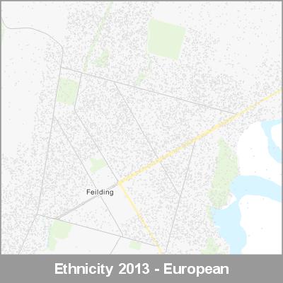 2013 European Ethnicity Feilding - Digital Maps