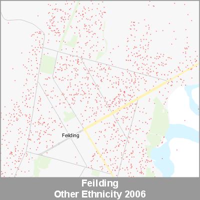 2020 Tron Map Feilding - Digital Maps