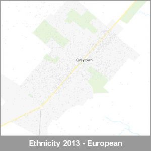 2020 Street Map Greytown - Digital Maps