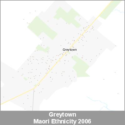 2020 Tron Map Greytown - Digital Maps