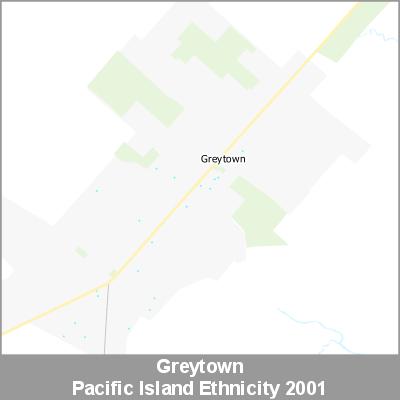 2001 Pacific Ethnicity Greytown - Digital Maps