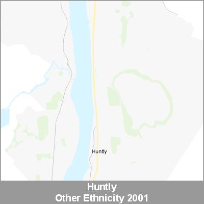 2001 Other Ethnicity Huntly - Digital Maps