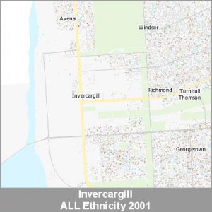 2020 Street Map Invercargill - Digital Maps