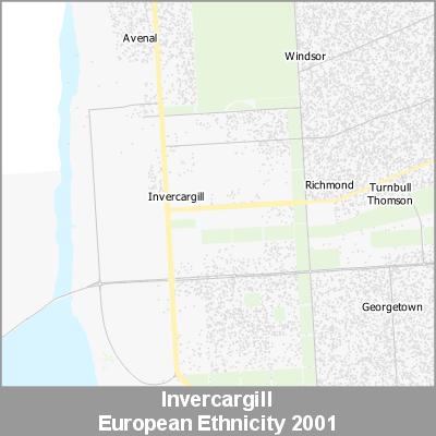 2020 Street Map Invercargill - Digital Maps