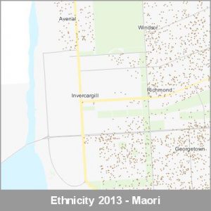 2020 Street Map Invercargill - Digital Maps