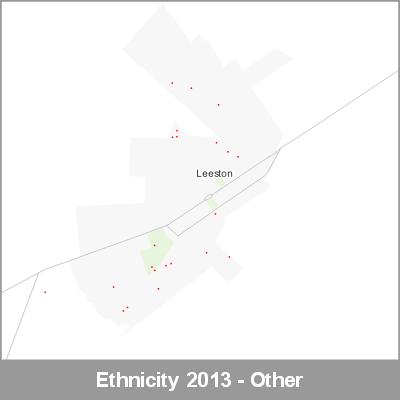 2013 Other Ethnicity Leeston - Digital Maps