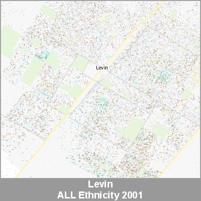 2001 ALL Ethnicity Levin - Digital Maps