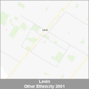 2020 Street Map Levin - Digital Maps