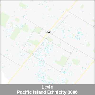 2020 Street Map Levin - Digital Maps