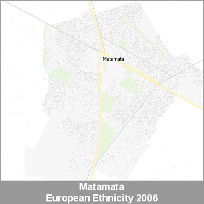 2020 Street Map Matamata - Digital Maps