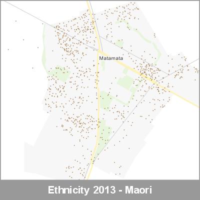 2020 Street Map Matamata - Digital Maps