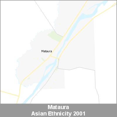 2020 Tron Map Mataura - Digital Maps