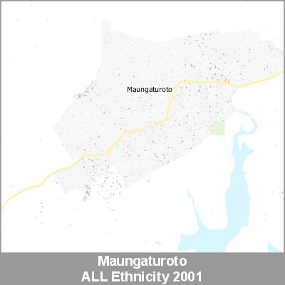 2001 ALL Ethnicity Maungaturoto - Digital Maps