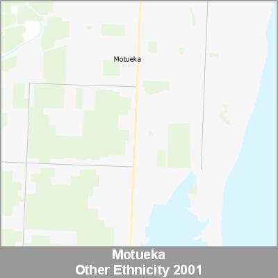 2020 Tron Map Motueka - Digital Maps