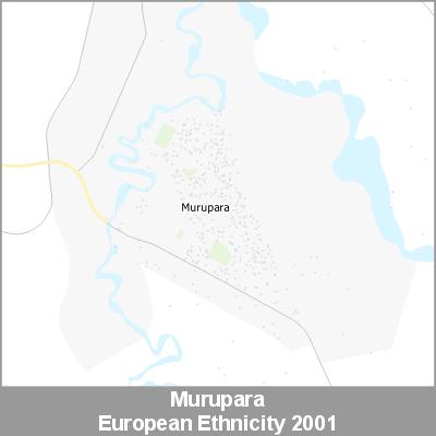 2020 Tron Map Murupara - Digital Maps