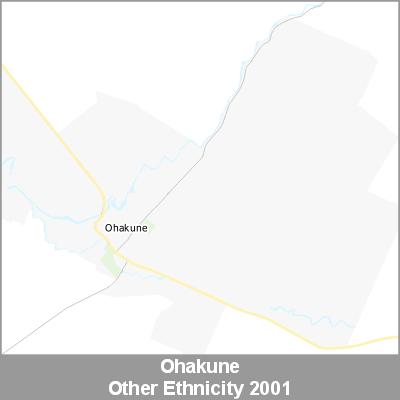 2020 Tron Map Ohakune - Digital Maps