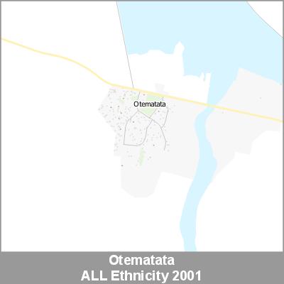 2001 ALL Ethnicity Otematata - Digital Maps