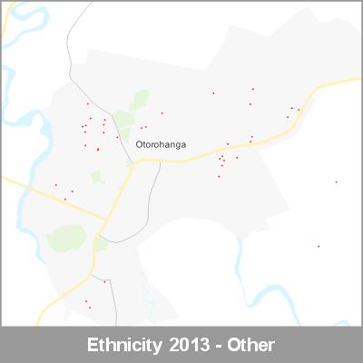 2013 Other Ethnicity Otorohanga - Digital Maps