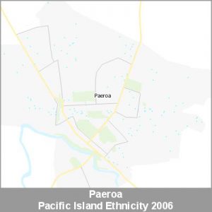 2020 Tron Map Paeroa - Digital Maps