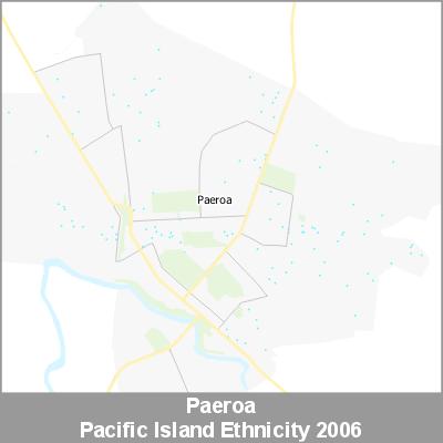 2020 Tron Map Paeroa - Digital Maps