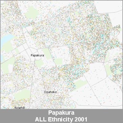2020 Street Map Papakura - Digital Maps
