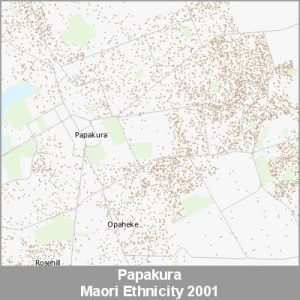 2020 Street Map Papakura - Digital Maps
