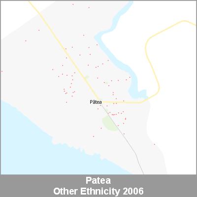 2006 Other Ethnicity Patea - Digital Maps