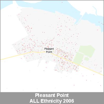 2020 Street Map Pleasant Point - Digital Maps