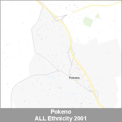 2020 Street Map Pokeno - Digital Maps