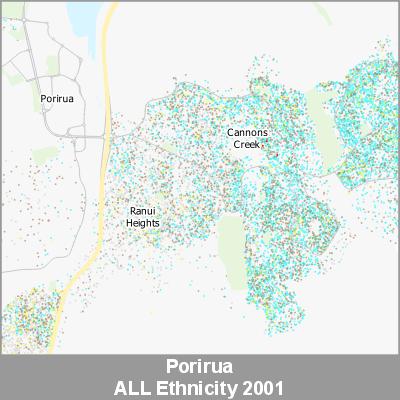 2020 Tron Map Porirua - Digital Maps