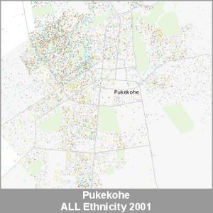 2020 Street Map Pukekohe - Digital Maps