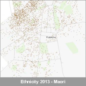 2020 Street Map Pukekohe - Digital Maps