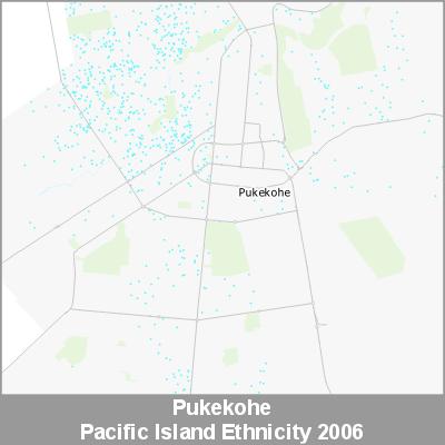 2020 Street Map Pukekohe - Digital Maps