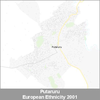 2001 European Ethnicity Putaruru - Digital Maps