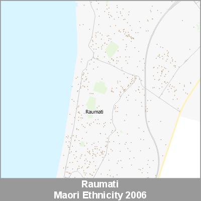 2020 Tron Map Raumati - Digital Maps