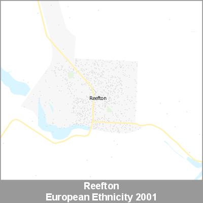 2001 European Ethnicity Reefton - Digital Maps