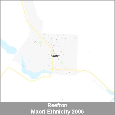 2020 Tron Map Reefton - Digital Maps