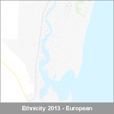 2013 European Ethnicity Ruakaka - Digital Maps