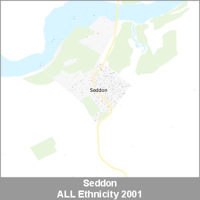 2019 Crashes Seddon - Digital Maps