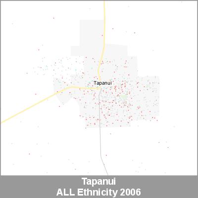 2006 ALL Ethnicity Tapanui - Digital Maps