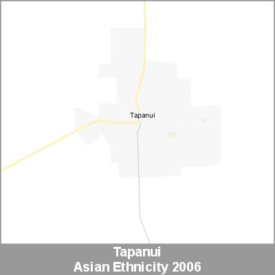 2006 Asian Ethnicity Tapanui - Digital Maps