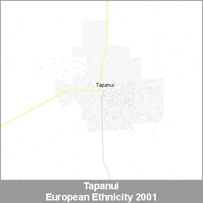 2001 European Ethnicity Tapanui - Digital Maps