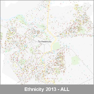 2020 Street Map Te Awamutu - Digital Maps