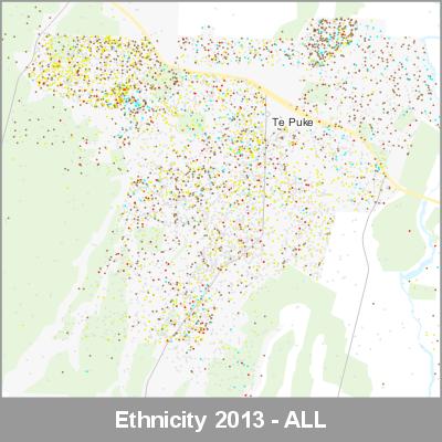 2013 All Ethnicity Te Puke - Digital Maps